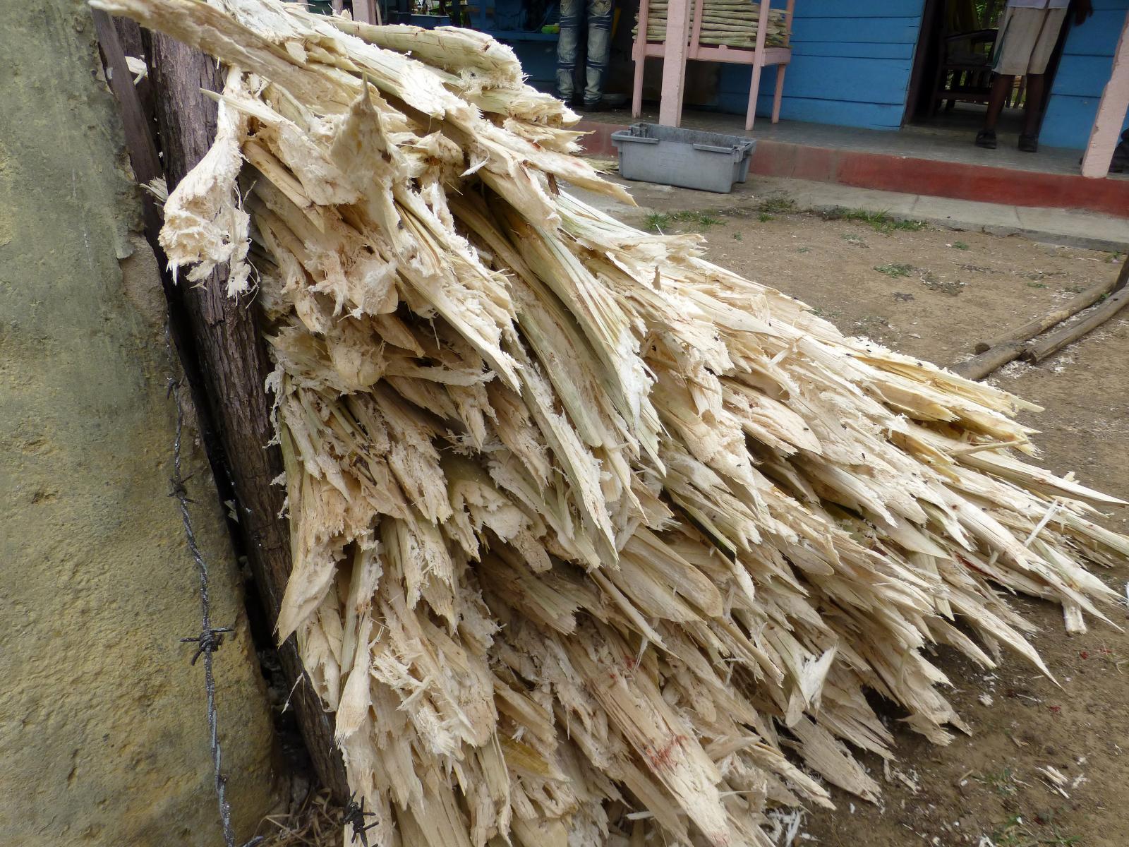 Sugarcane Bagasse Feedipedia Sugarcane Bagasse Feedipedia
