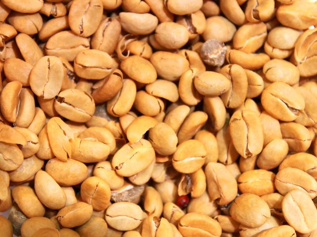 Dry coffee beans with parchment | Feedipedia