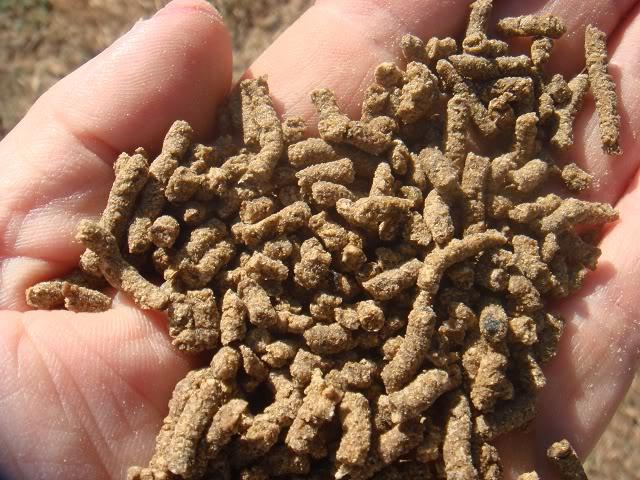 Snail meal pellets | Feedipedia